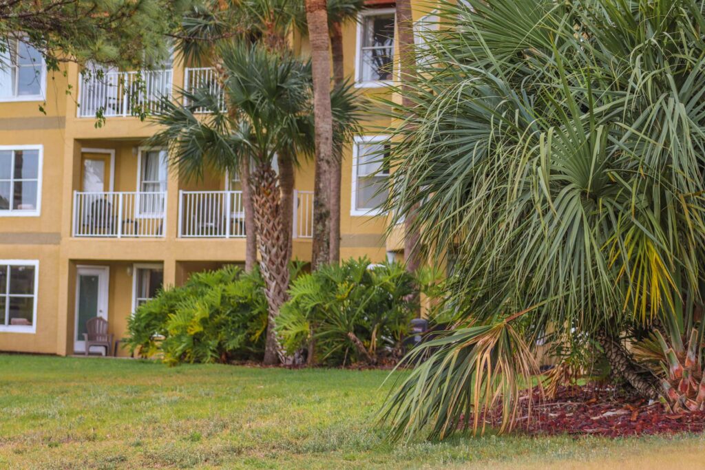 Amenities - Parc Corniche